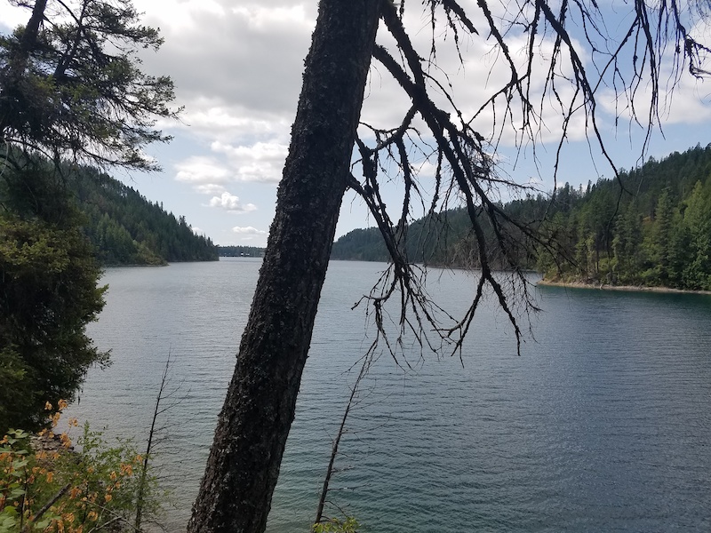 Bead Lake East Shoreline Mountain Biking Trail - Newport