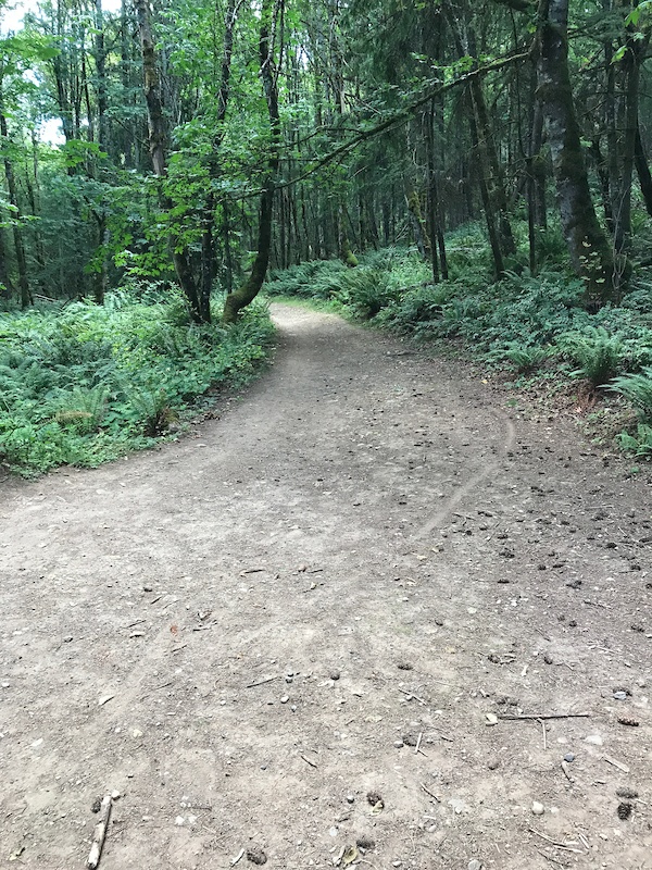 Dirt Diva virtual Ride #2 Mountain Biking Route | Trailforks