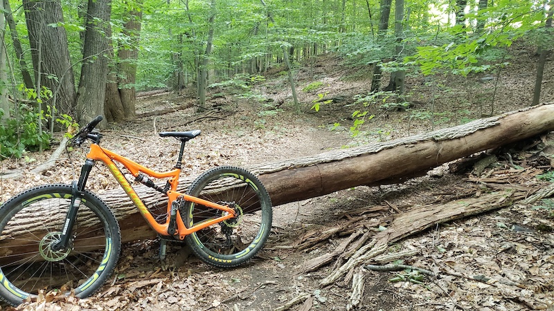 Taconic Bridge Trail (Woodlands Legacy) Mountain Biking Trail - Yorktown
