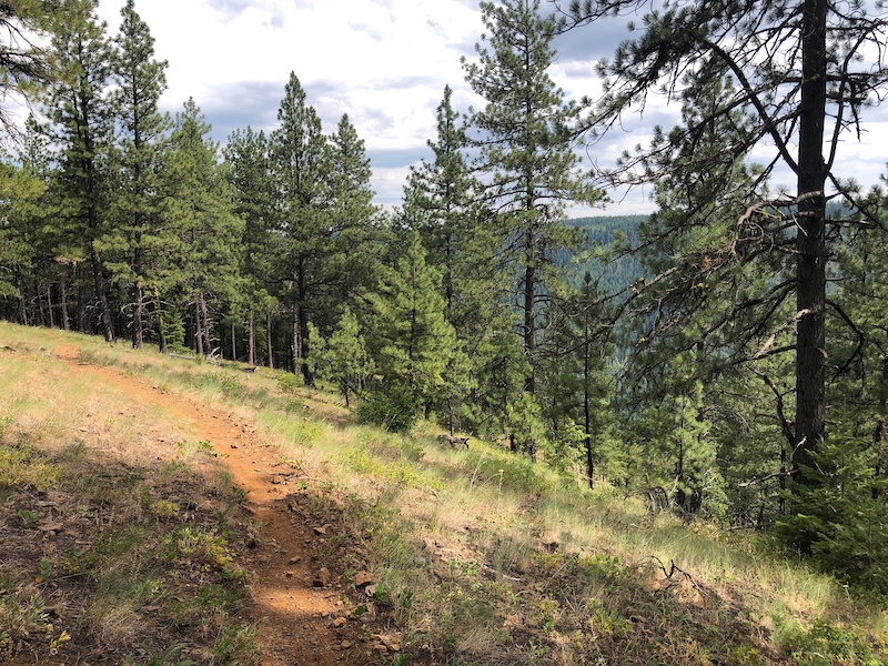 Prairie Rock Single Track Trails Mountain Biking Trails | Trailforks