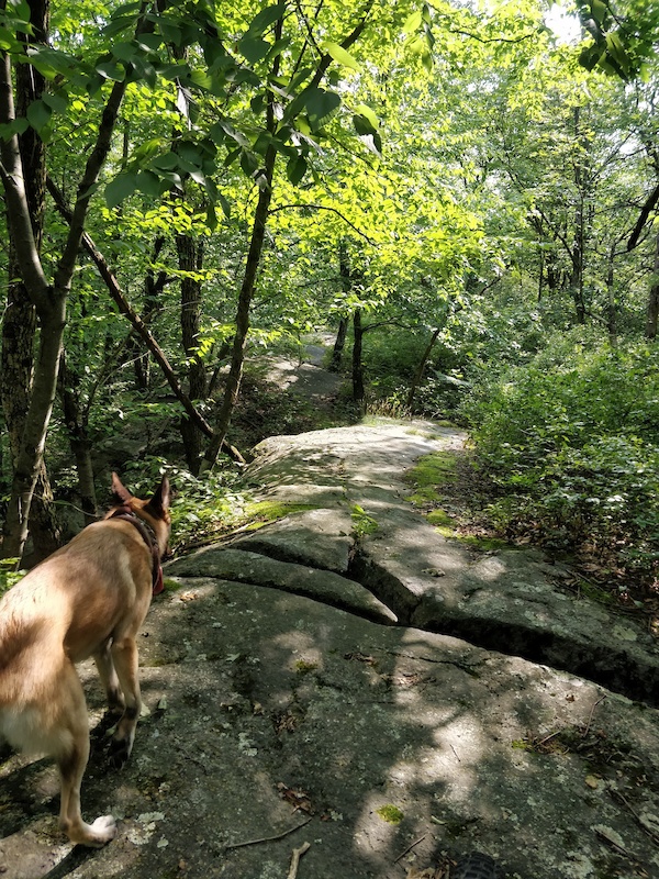 Moosic Mountain Loop Mountain Biking Route | Trailforks