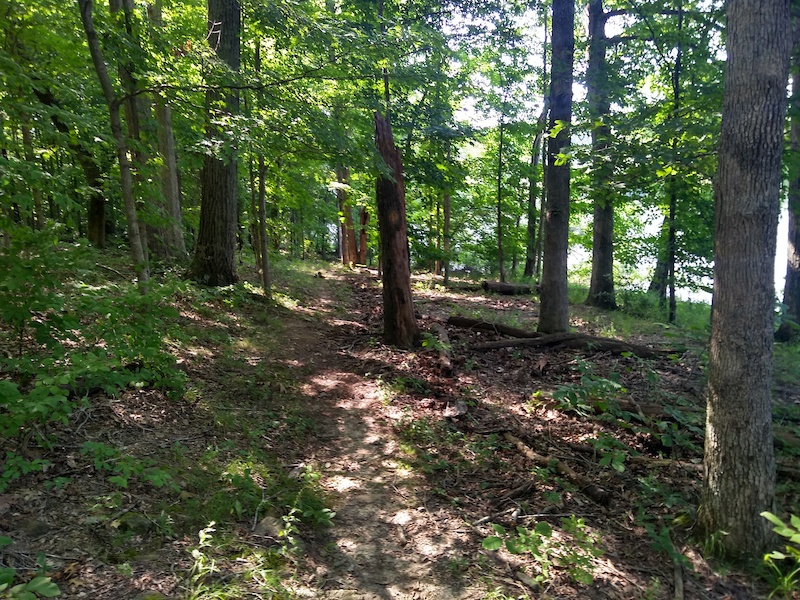 Tipsaw Lake Recreation Area, St.Croix Mountain Biking Trails | Trailforks