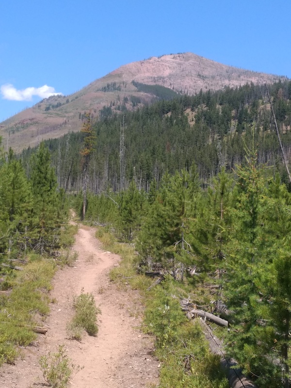 Ovando, Montana Mountain Biking Trails | Trailforks