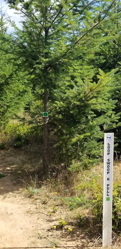 Loop, Swoop, & Pull Mountain Biking Trail - Coos Bay
