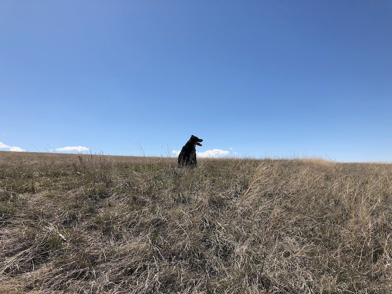 Hi-Line Multi Trail - McMaster Hills, Helena, Montana