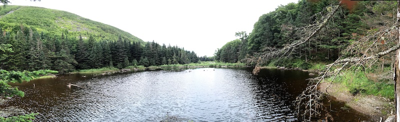 Tunnel Brook Trail Mountain Biking Trail - Benton, NH