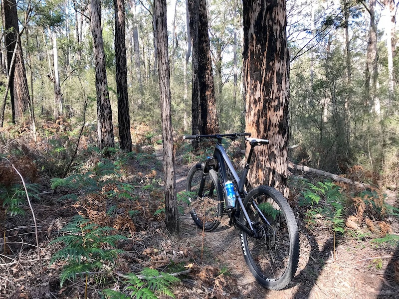 Oil Bore Track Mountain Biking Trail - Lakes Entrance