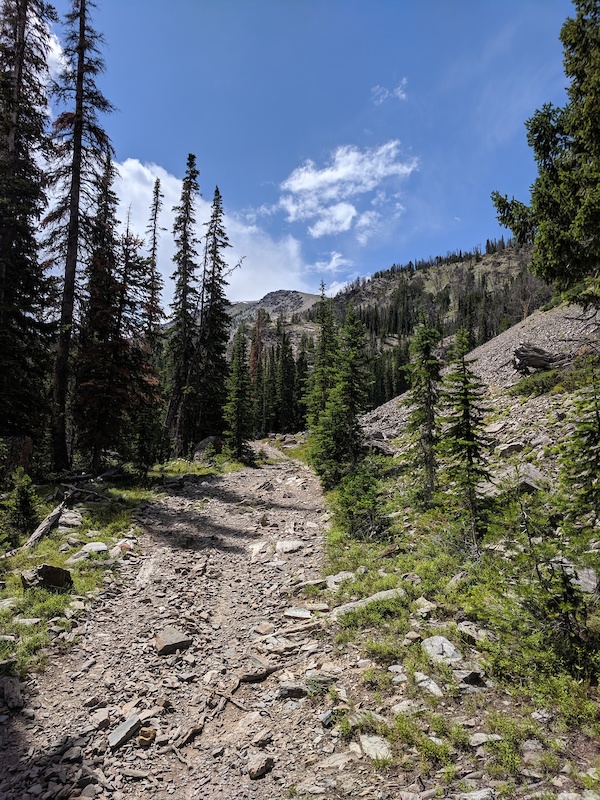 Patterson Multi Trail - Leadore, Idaho | Trailforks