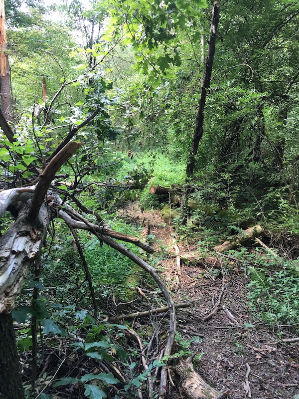 Switch Back Trail Multi Trail - Burgettstown, PA