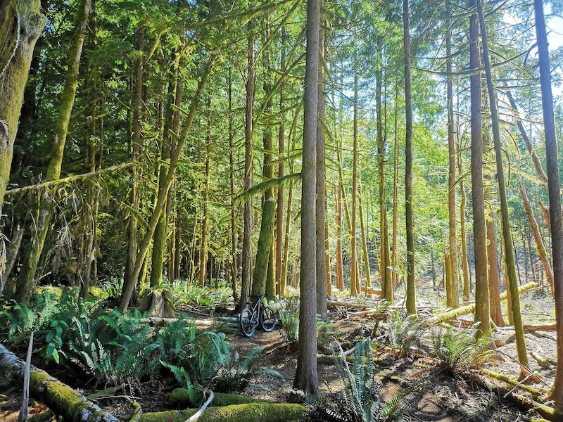 El Dorado Mountain Biking Trail - Roberts Creek, BC