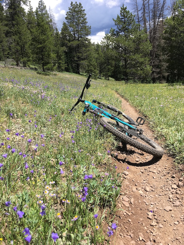 Silver Creek Mountain Biking Trail - Salida, CO
