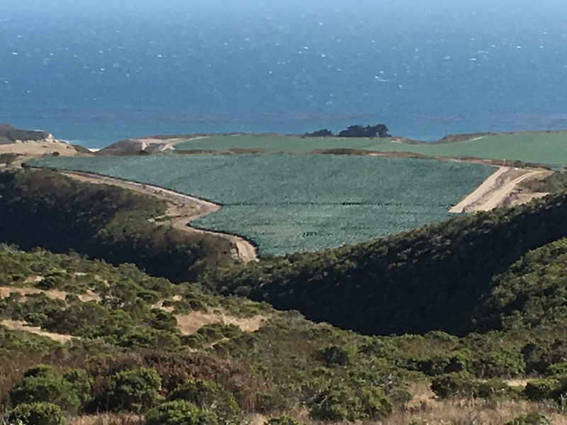 Ohlone Bluff Trail Multi Trail - Santa Cruz, California