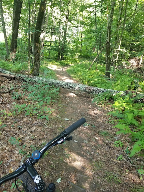 Oak Loop Multi Trail - Hampstead, New Hampshire