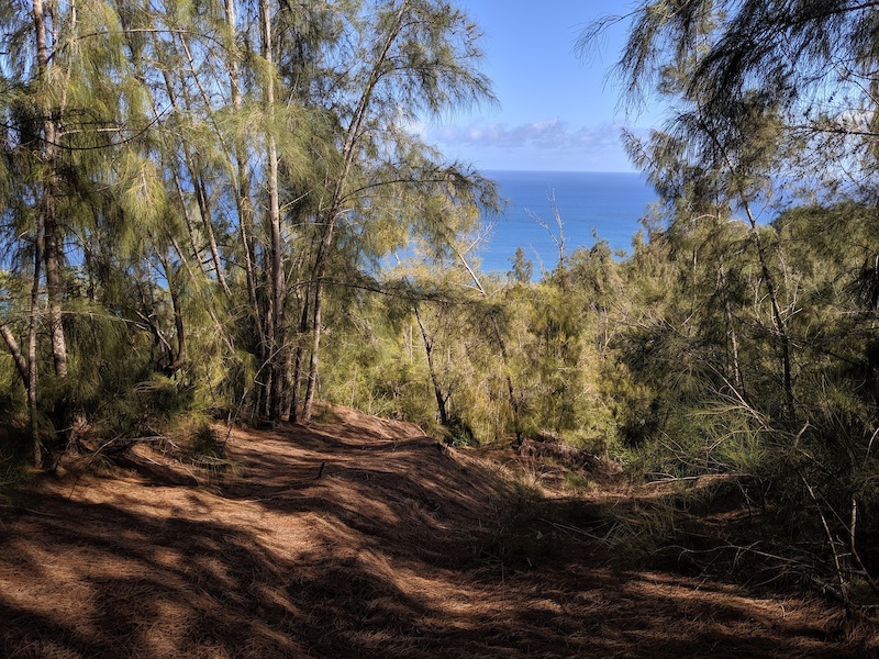Ehukai Connector Mountain Biking Trail - Pupukea, Hawaii
