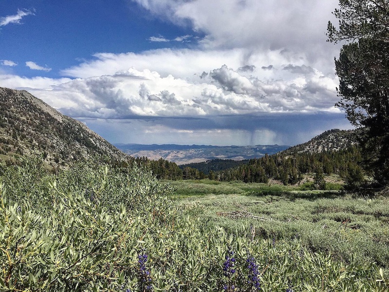 Mount Rose Summit Trail Hiking Trail - Incline Village