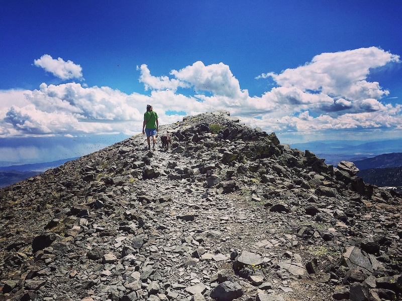 Mount Rose Summit and Galena Waterfall Hiking Route | Trailforks