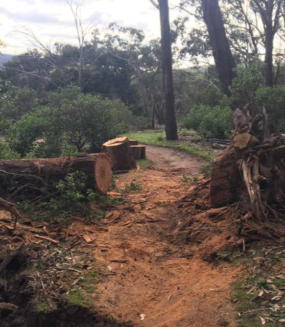 Farm Trail Mountain Biking Trail - Lysterfield