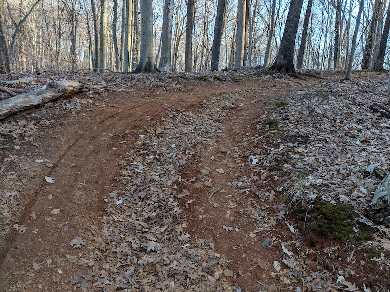 Old Forge Mountain Biking Trail - Upper Freehold, NJ