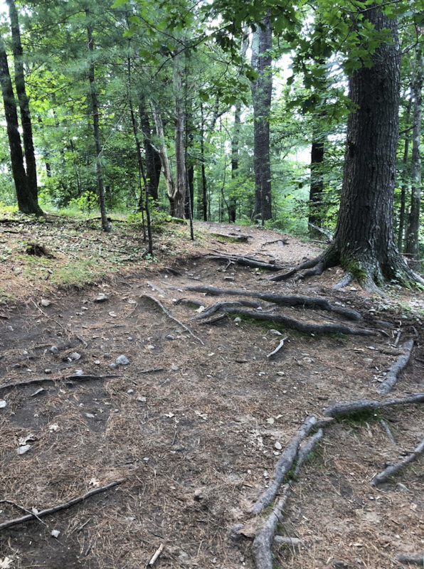 Indian Ridge Trail Multi Trail - Ipswich, Massachusetts