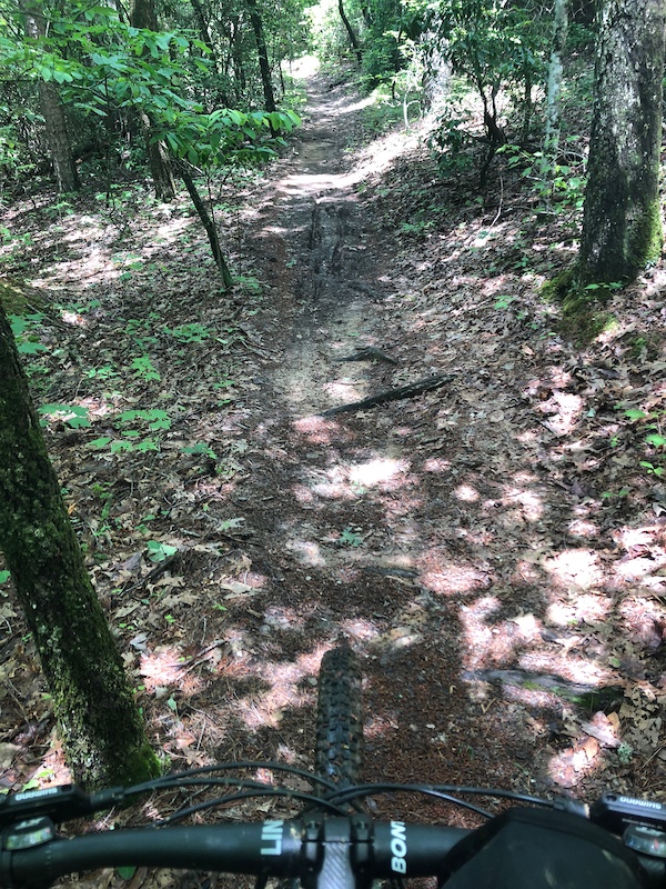 Jake & Bull Mountain Biking Route | Trailforks