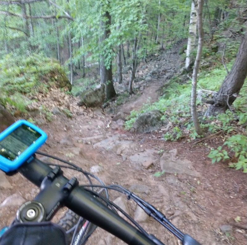 MARJI GESICK 50 2018 Mountain Biking Route | Trailforks