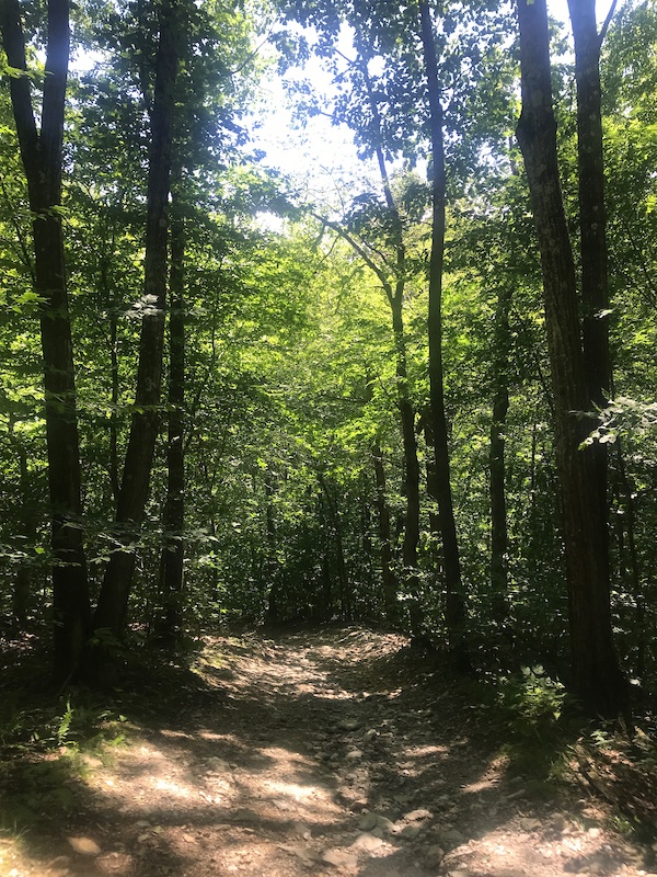Balance Rock Loop Mountain Biking Trail - Pittsfield