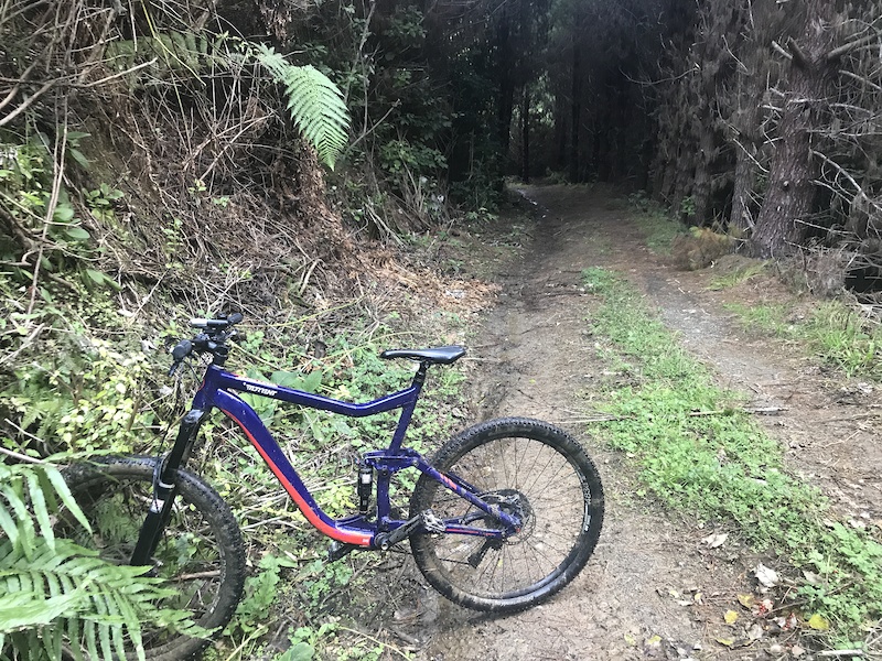 Totara Park, Upper Hutt Mountain Biking Trails | Trailforks