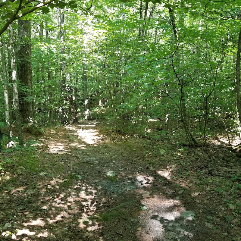 Windsor Lake, North Adams Mountain Biking Trails | Trailforks