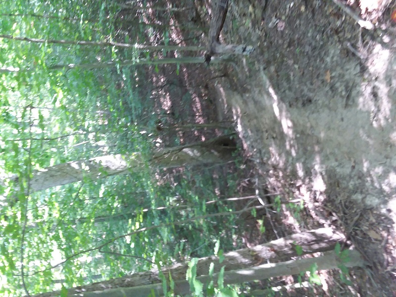 Bacon Ridge: Phase 3 Multi Trail - Crownsville, Maryland