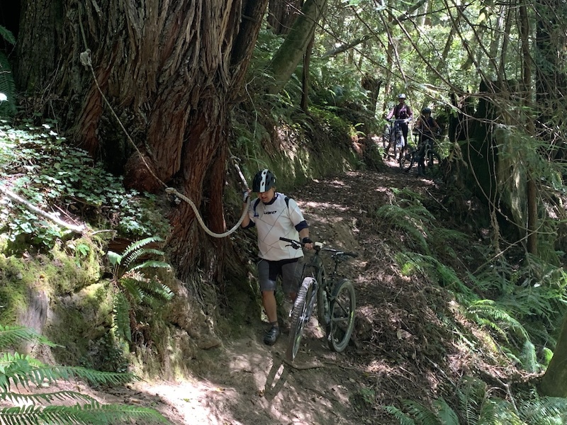 Ride Thru Tree Mountain Biking Trail - Mendocino, CA
