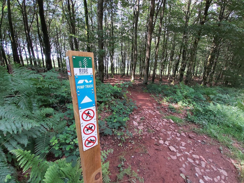 Rowberrow Warren Wood loop Mountain Biking Route | Trailforks