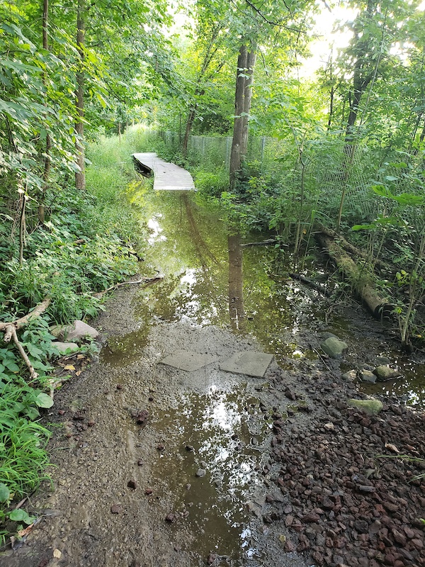 Clinton River Park Trails Mountain Biking Trails | Trailforks