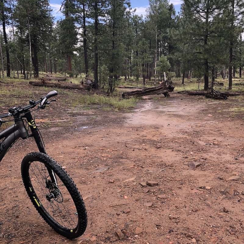 Gray Wolf Trail #504 Multi Trail - - Arizona