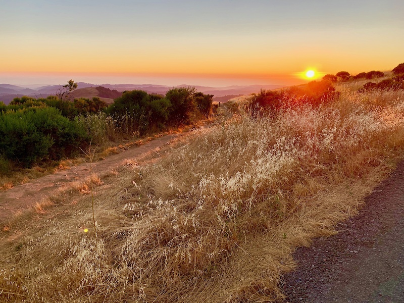 Russian Ridge 2-mile loop Mountain Biking Route | Trailforks