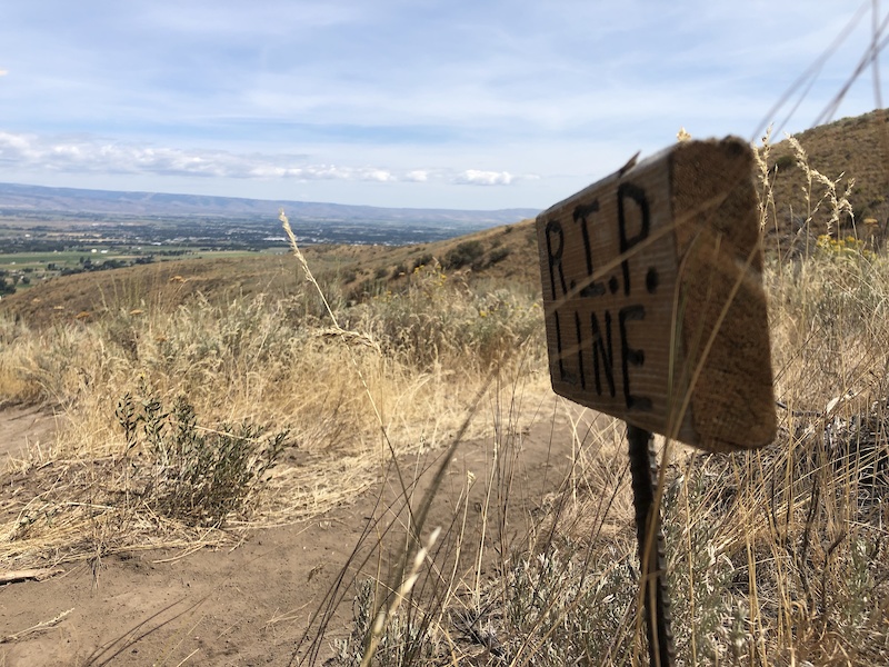 RIP Line Mountain Biking Trail - Ellensburg, Washington