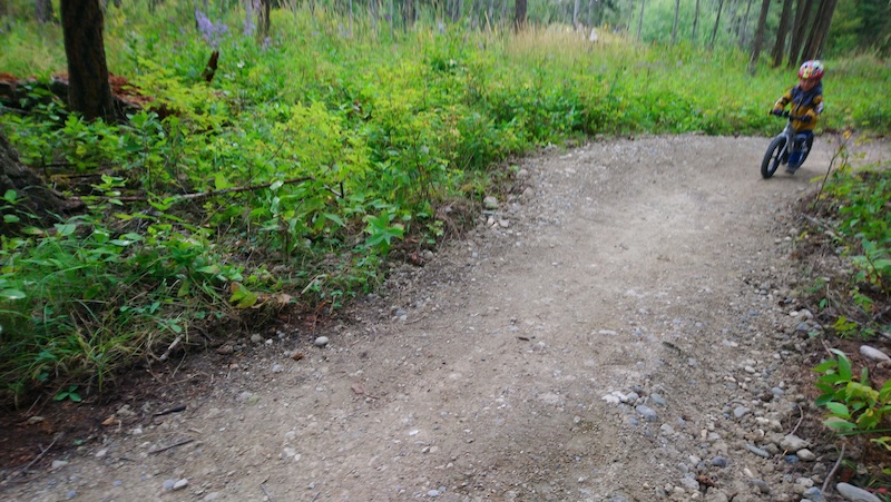 Foxfire Mountain Biking Trail - Williams Lake, BC