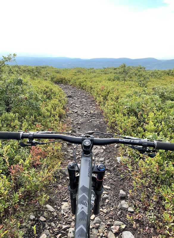 Moosic Mountain Loop Mountain Biking Route | Trailforks