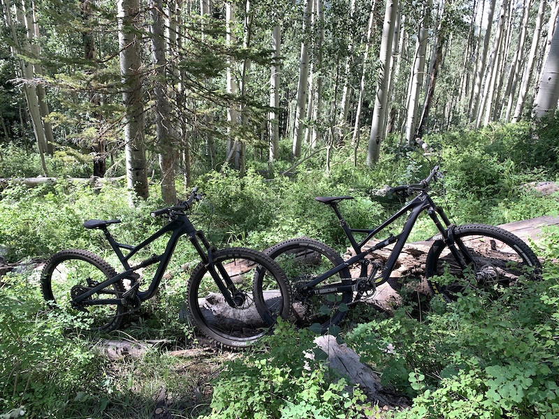 Aug 18, 2019 Burro Pass Trail Report | Trailforks