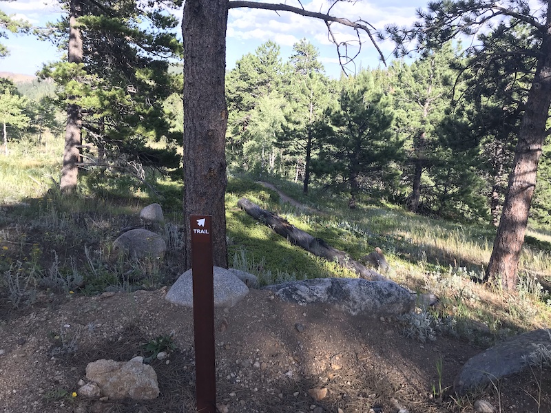 Caribou Ranch Link Mountain Biking Trail - Nederland