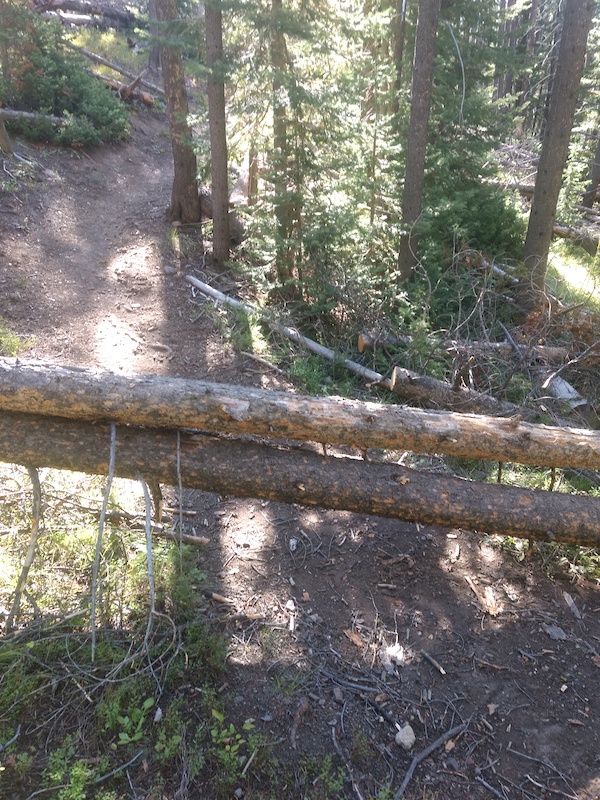 Blackfoot Meadows Trail Multi Trail - Elliston, Montana