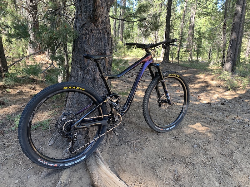 2020 Custom Giant Trance Advanced Pro 29 For Sale
