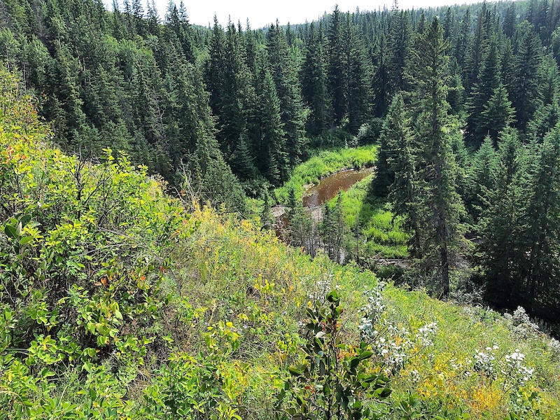 Whitemud Forks Mountain Biking Trail - Northwest Edmonton