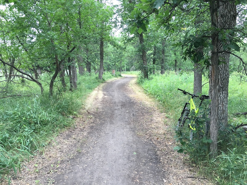 Bison Plant Trail Mountain Biking Trail - Minot, ND
