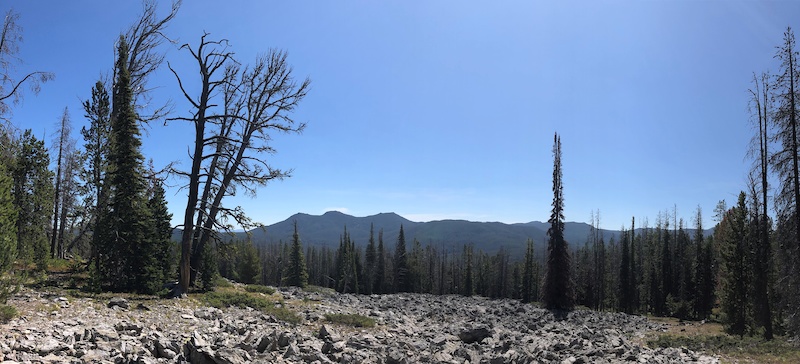 Bison Mountain Loop Mountain Biking Route | Trailforks