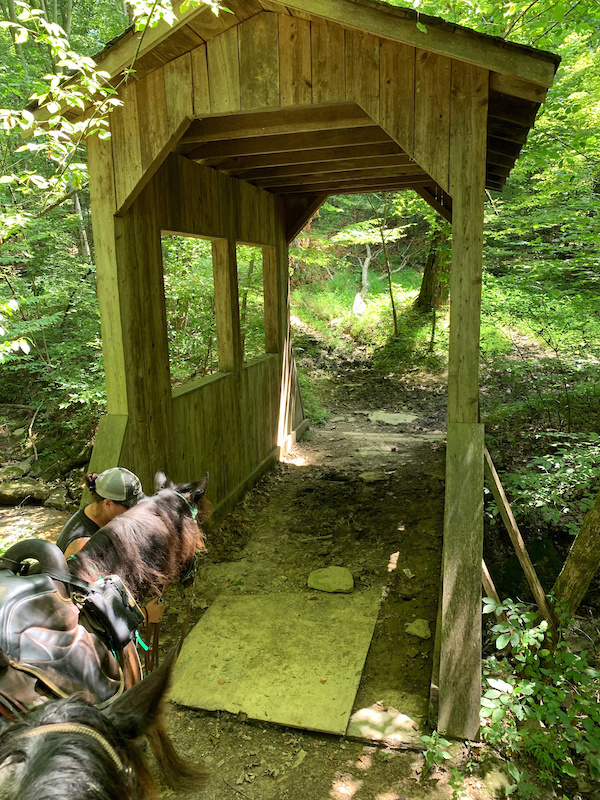 Possum Ridge Horseback Trail - Taylorsville, Kentucky