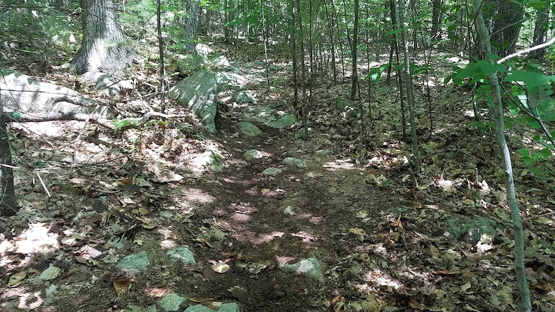 Mount Molly Trail - Collins Extension Multi Trail - New Durham