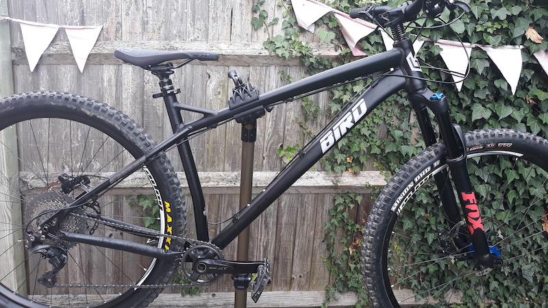 2019 Bird Zero 29 Frame XL For Sale
