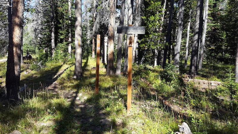 CDT - Singletrack Detour Multi Trail - Butte, Montana