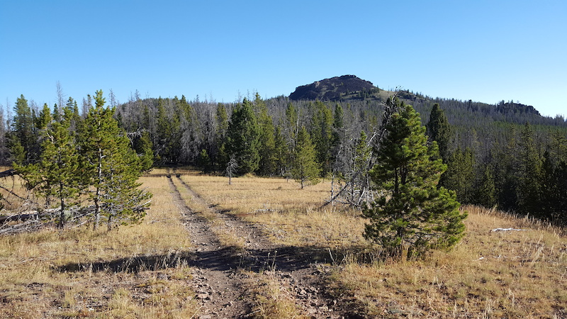 Fleecer Ridge (to Burnt Mtn) ATVing/Offroading Trail - Butte
