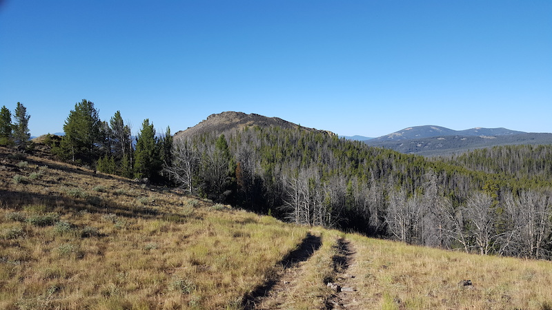 Fleecer Ridge (to Burnt Mtn) ATVing/Offroading Trail - Anaconda, MT